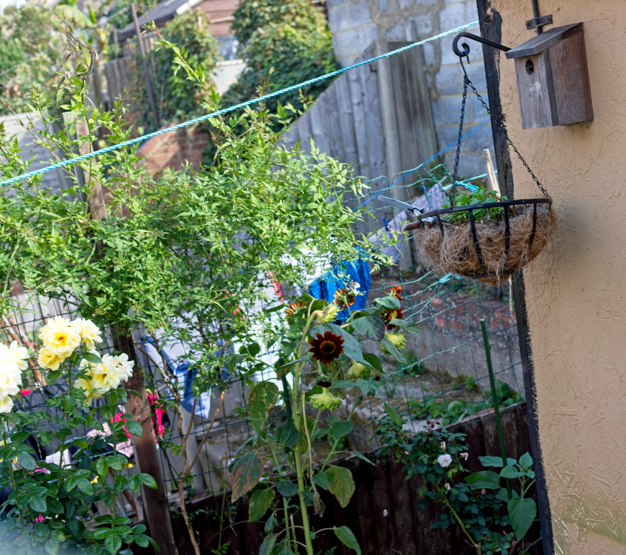 A pilgrimage to Woolwich Arsenal - AISA